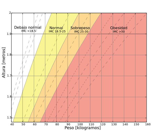 PESO IDEAL: Tablas, en qué consiste y cómo calcularlo