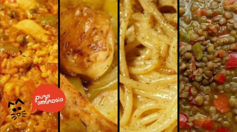 🍽 50 recetas de comidas RAPIDAS y FACILES de hacer